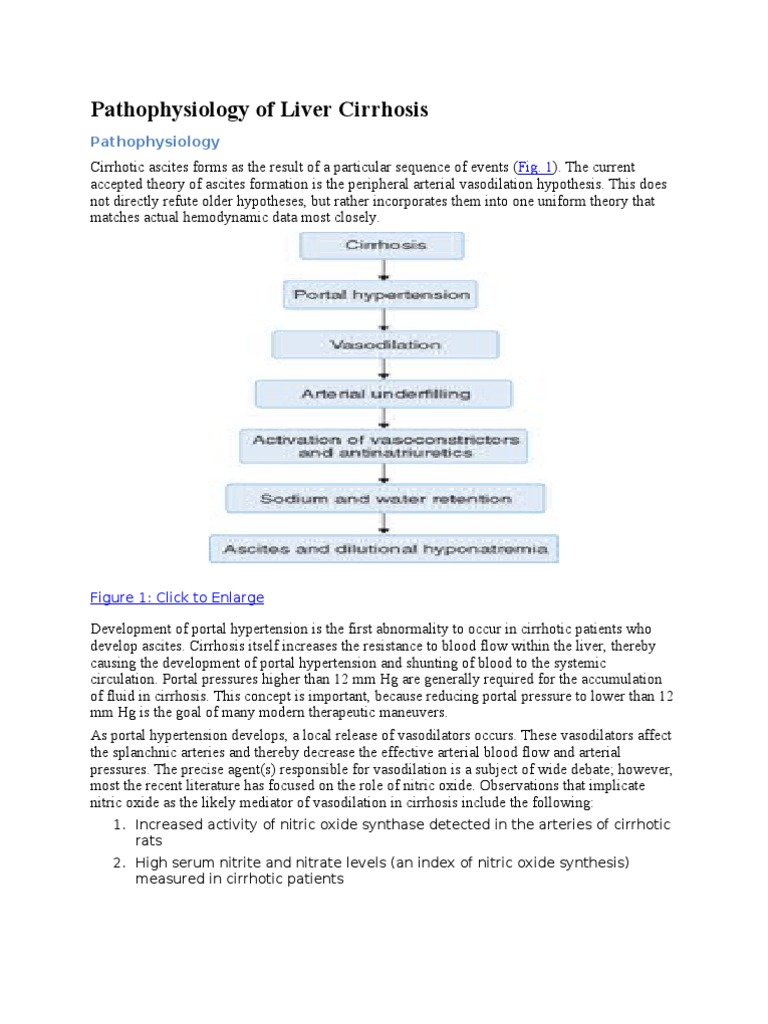 Pathophysiology of Cirrhotic Ascites | PDF | Cirrhosis | Liver