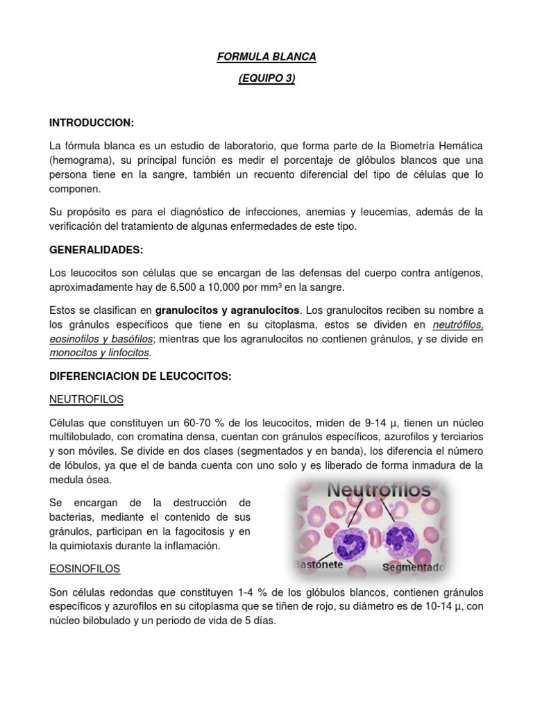 Análisis de la fórmula leucocitaria: clasificación, funciones y ...