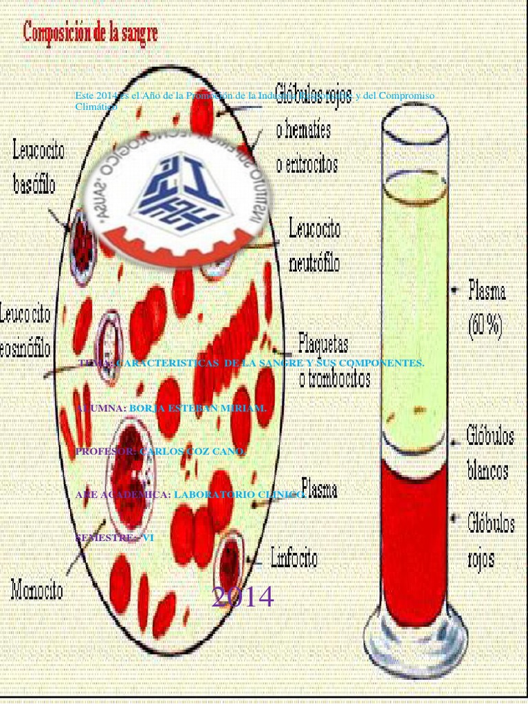 CARACTERISTICAS DE LA SANGRE Y SUS COMPONENTES.docx | Hematopoyesis ... CARACTERISTICAS DE LA SANGRE Y SUS COMPONENTES.docx | Hematopoyesis ...
