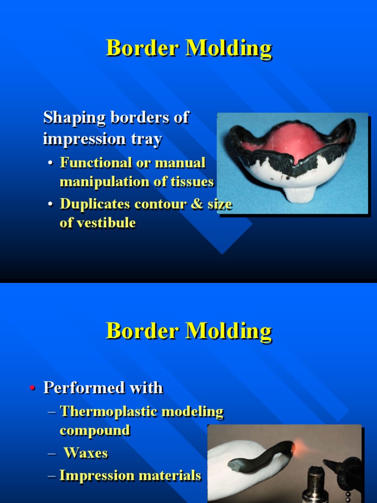 Border Molding | PDF | Tongue | Anatomical Terms Of Location