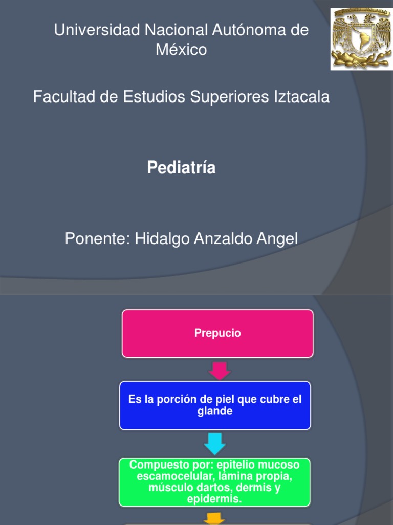 Fimosis_y_parafimosis.ppt | Urología | Pene