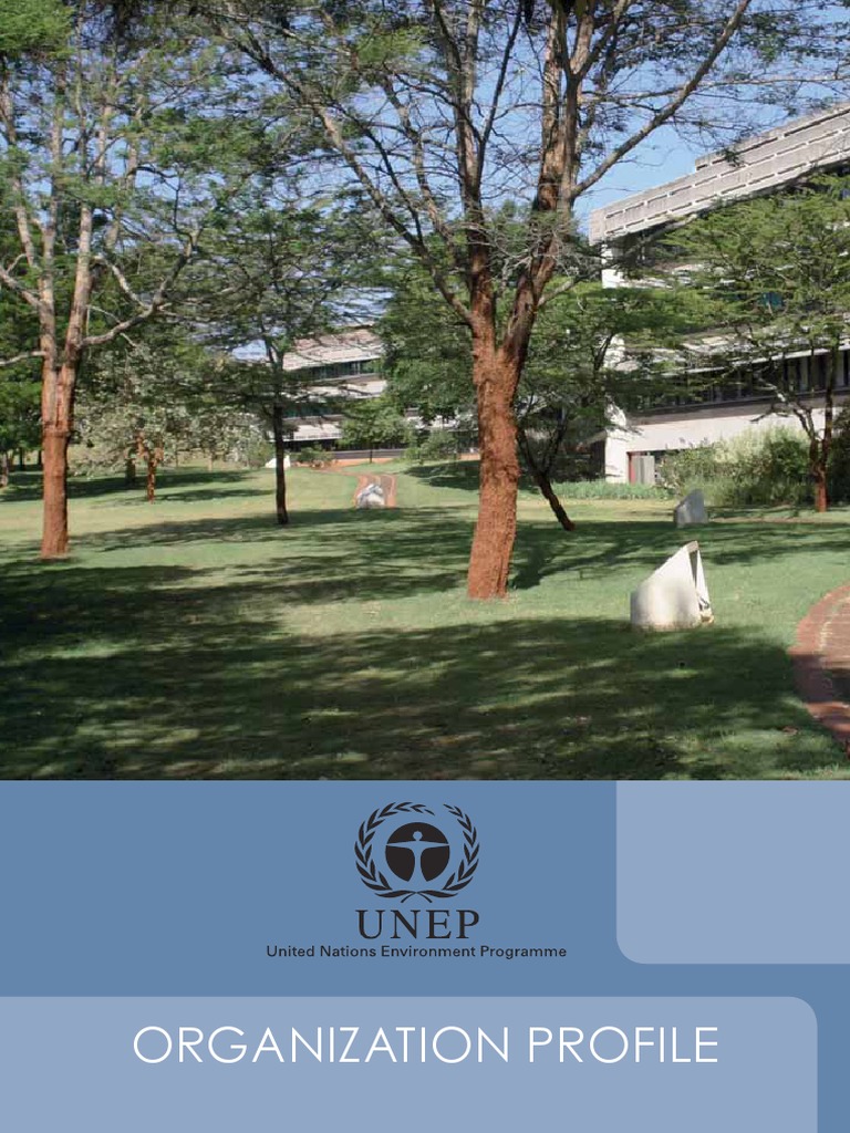 Unep Organization Profile | PDF | United Nations Environment Programme ...