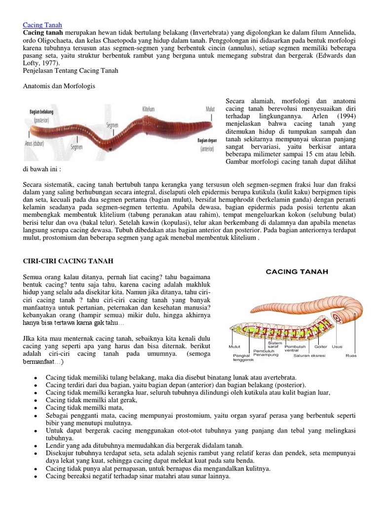 Cacing Tanah | PDF | Griya & Taman | Sains & Matematika