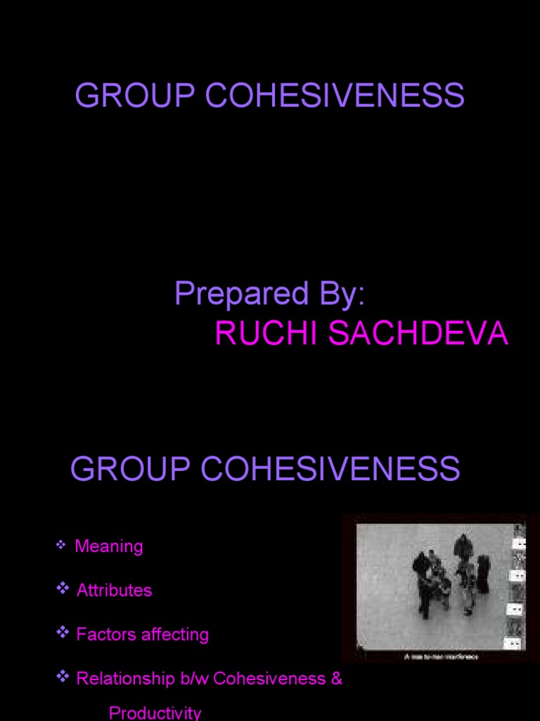 Group Cohesiveness | PDF | Career & Growth | Self-Improvement
