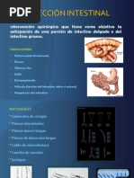 Escala de Goldman | PDF