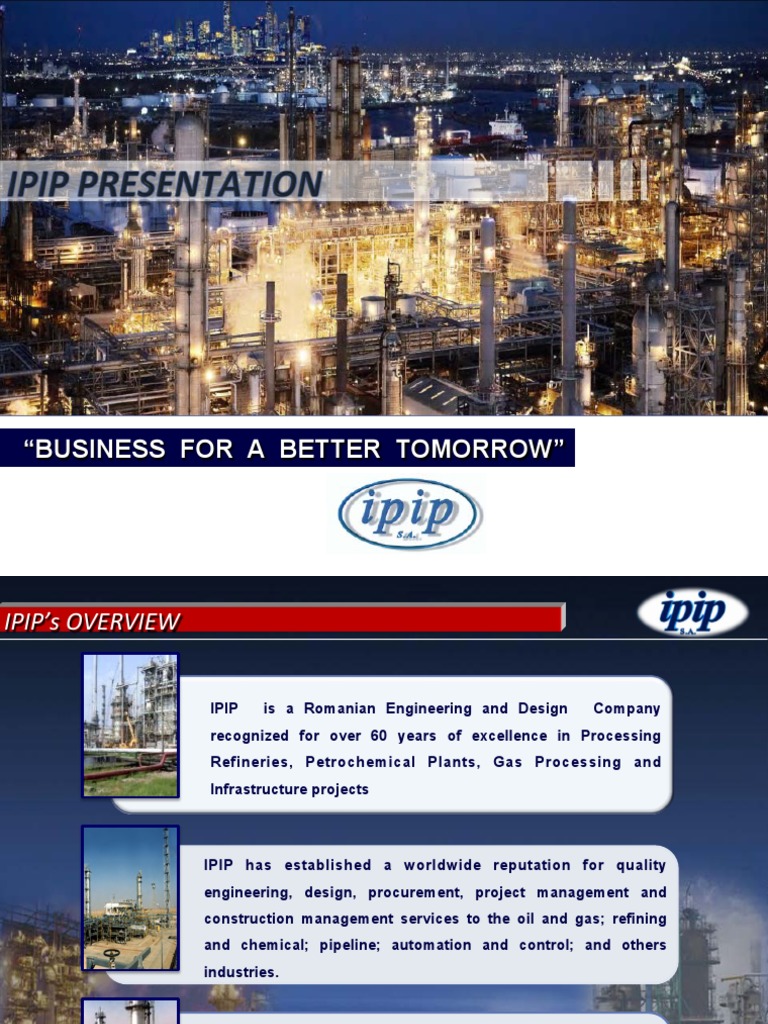 IPIP Presentation | PDF