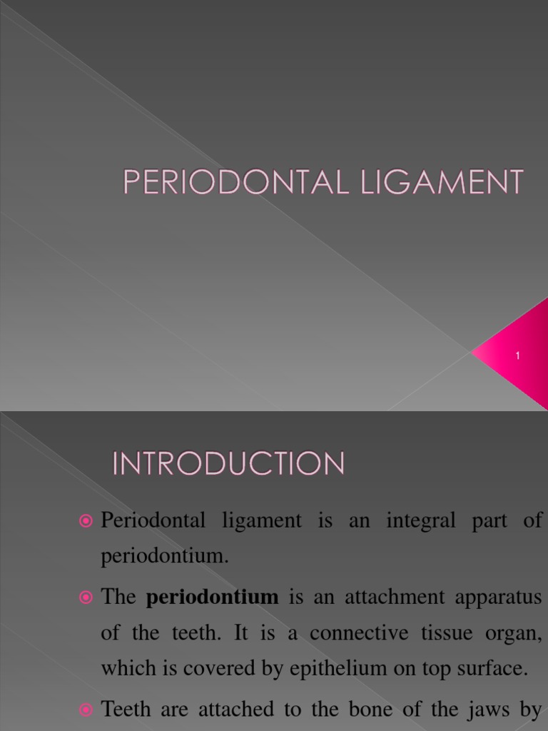 Periodontal Ligament | PDF | Human Tooth | Periodontology