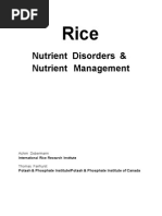 Mulder S Chart | PDF | Plant Nutrition | Nutrients