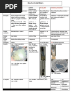 Biochemical Test Chart | PDF | Microbiology | Prokaryote