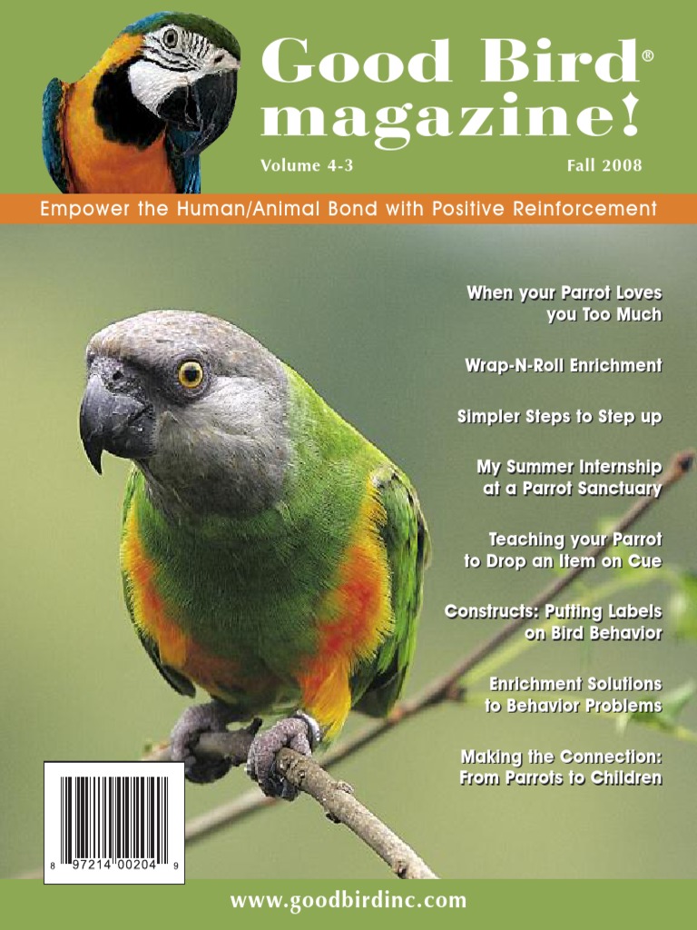 Good Bird Magazine Vol4 Issue3 | PDF | Parrot | Reinforcement