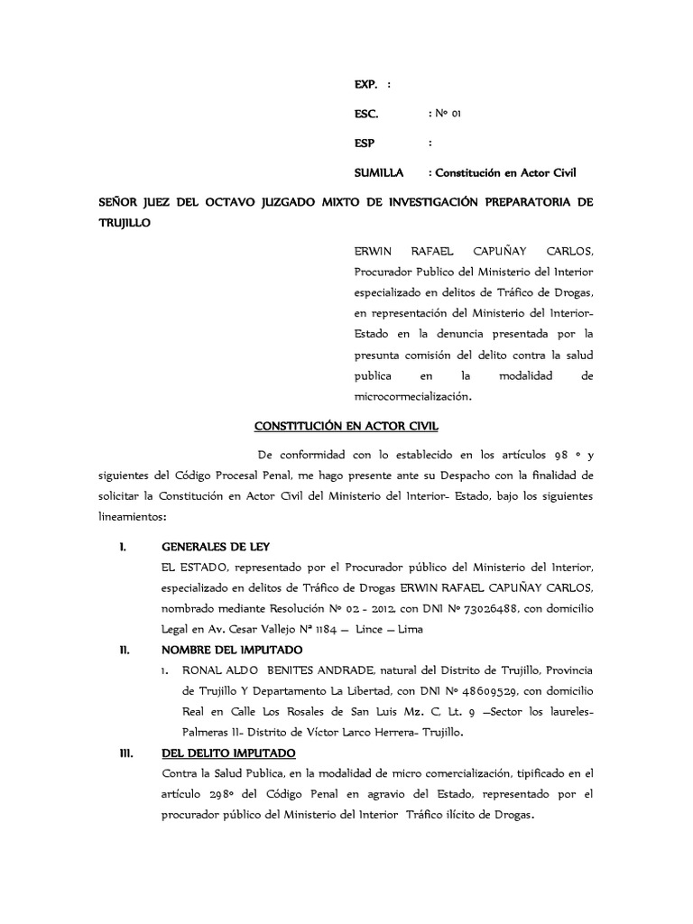 Erwin Actor Civil | PDF | Derecho penal | Delito
