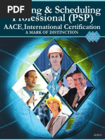 Planning & Scheduling Professional (PSP) : AACE International ...