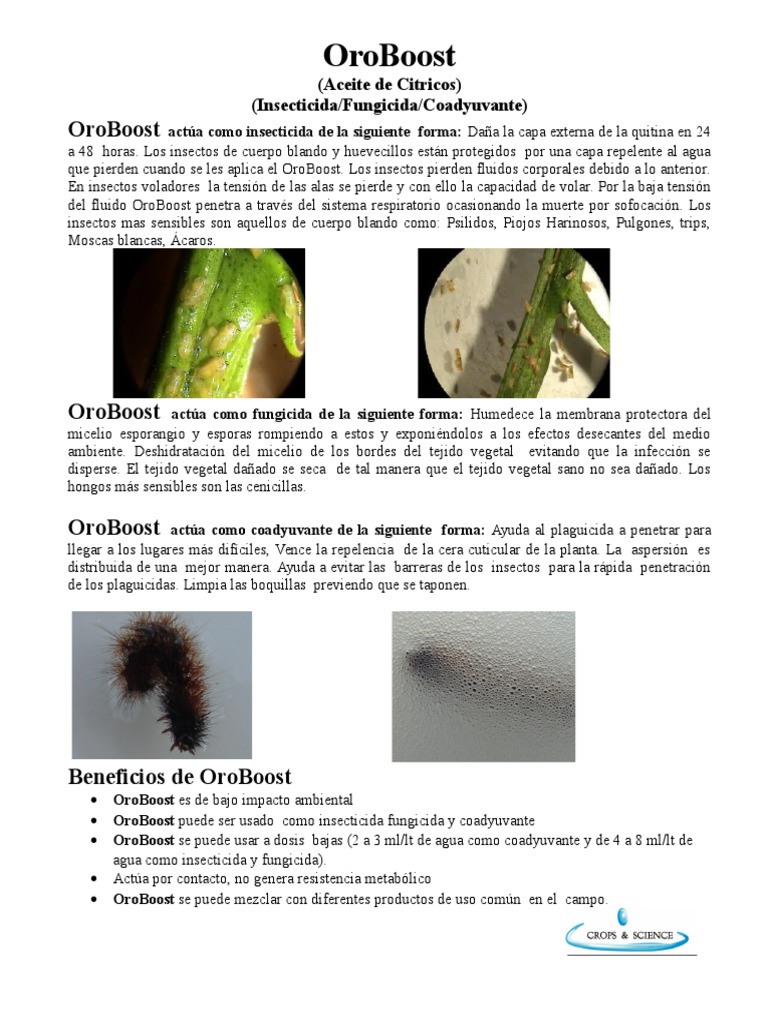 Ficha Tecnica OroBoost | PDF | Salud y bienestar