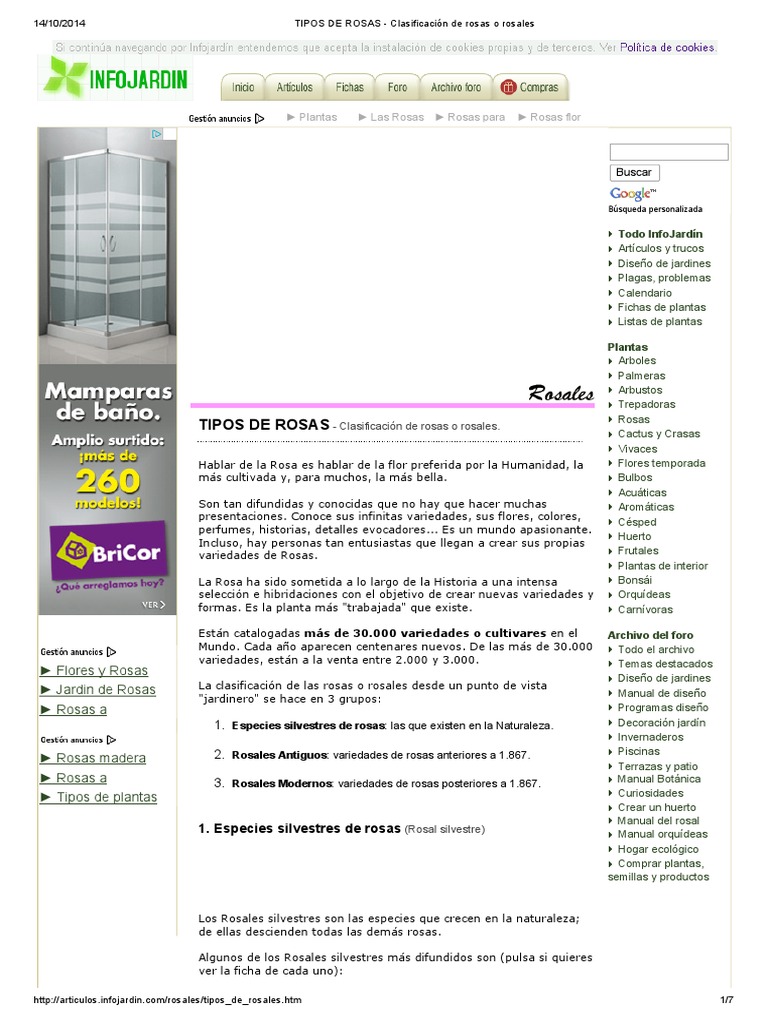 TIPOS DE ROSAS - Clasificación de Rosas o Rosales PDF | PDF | Rosa ...