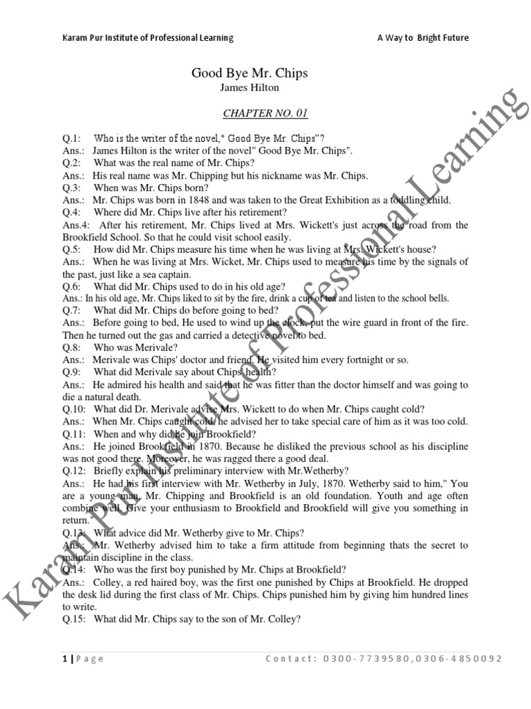 Good Bye MR - Chips | PDF