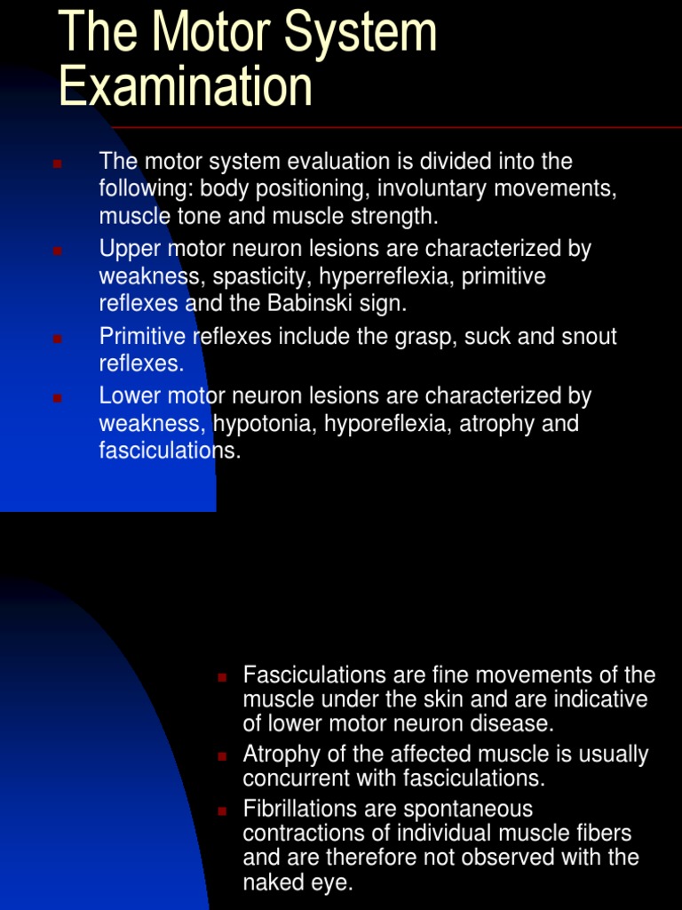 Motor System Exam: Muscle Tone, Strength & Reflex Testing | PDF | Arm ...