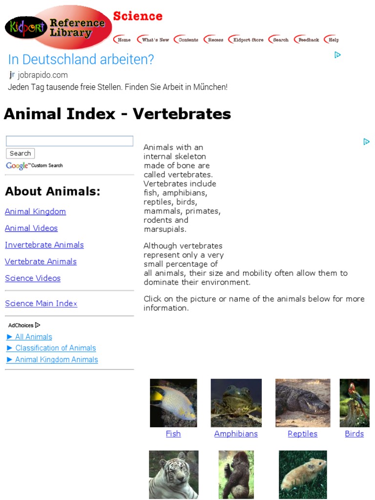Vertebrates - Animals With Backbones | PDF | Vertebrates | Mammals