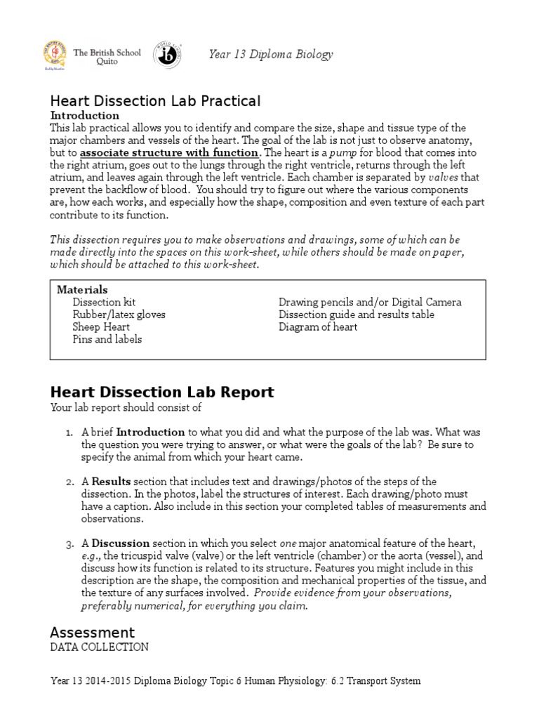 Heart Dissection Guide | PDF | Heart Valve | Atrium (Heart)