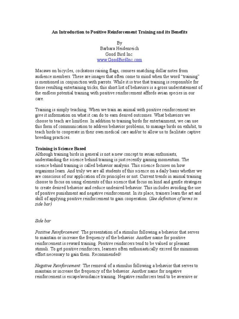 An Introduction To Positive Reinforcement Training and Its Benefits ...