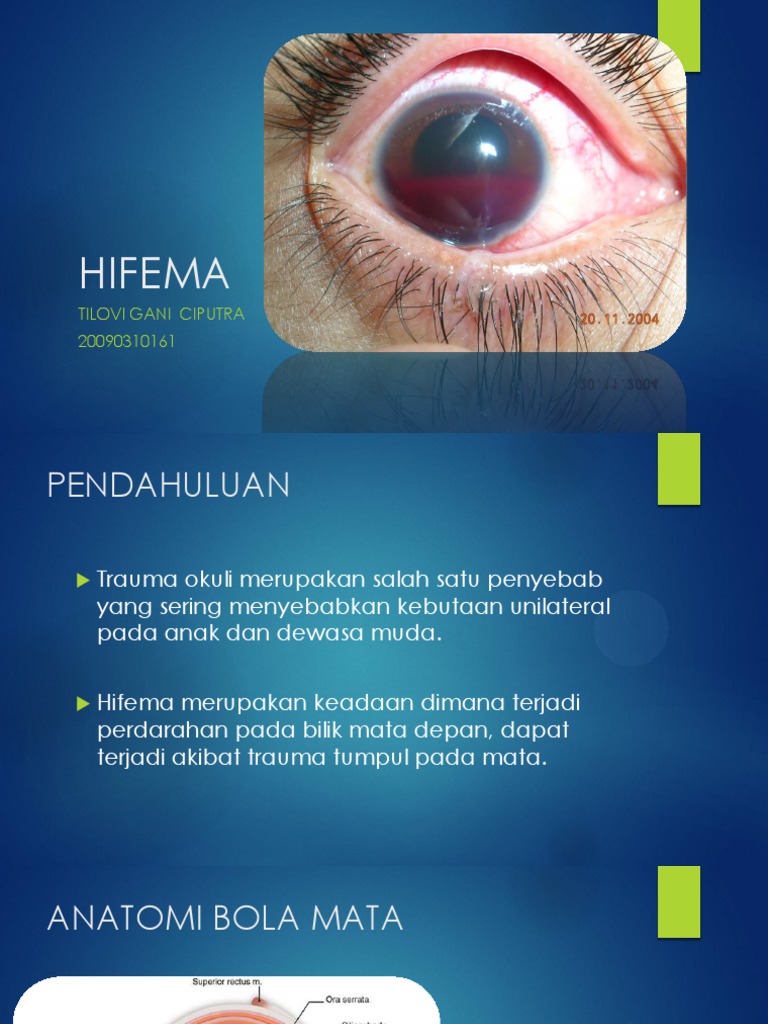 HIFEMA | PDF | Sains & Matematika