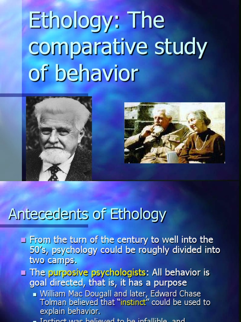 The Development of Ethology: Konrad Lorenz's Pioneering Work on Innate Behavior Patterns, Fixed ...