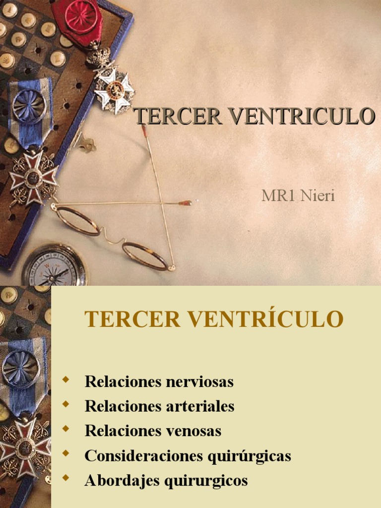 Anatomia Iii Ventriculo | PDF | Angiología | Sistema cardiovascular