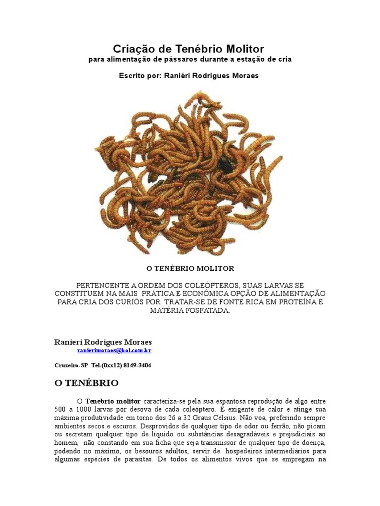 Criação de Tenébrio Molitor | PDF | Umidade | Alimentos
