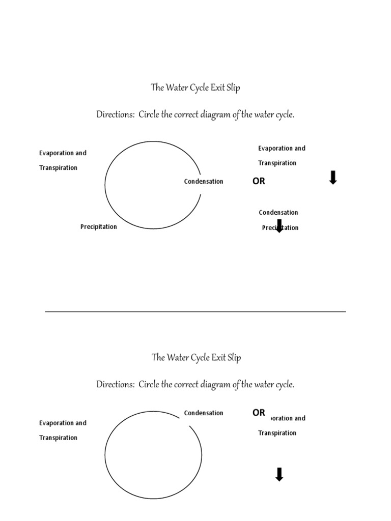 Water Cycle Exit Slip | PDF