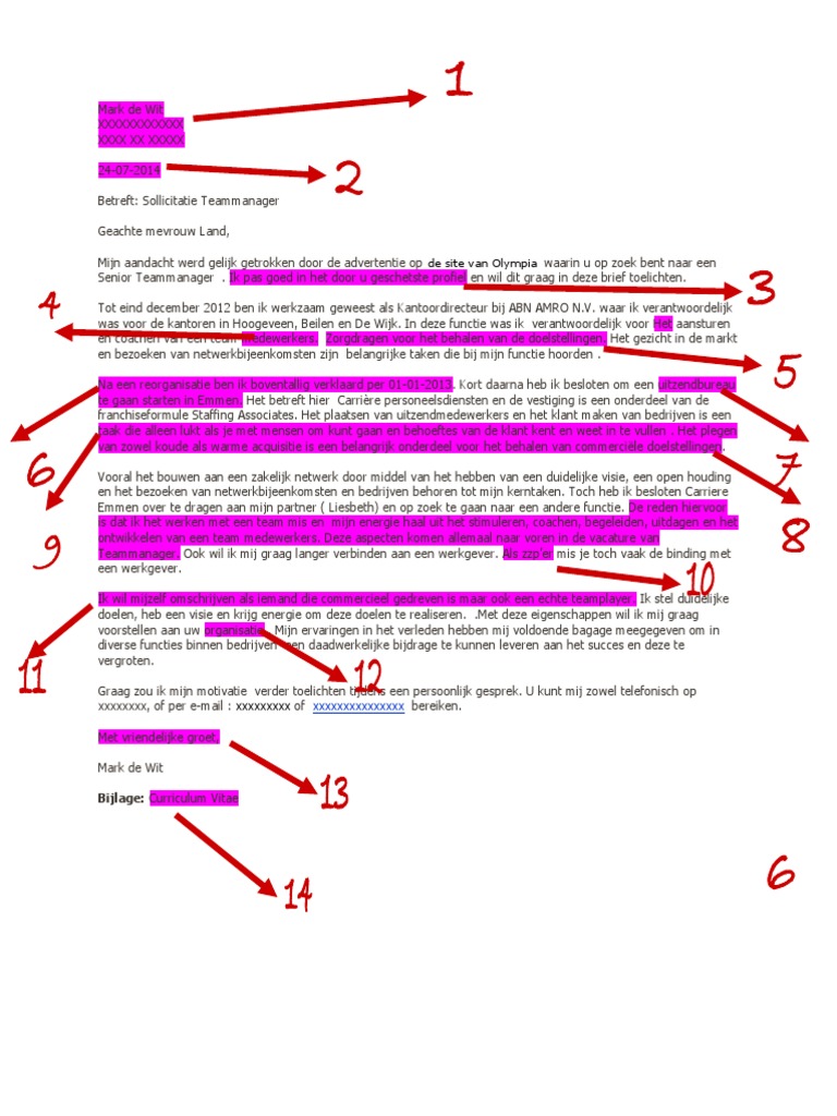 Motivatie Sollicitatie Teammanager Mark de Wit PDF | PDF