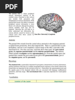Apraxia Screen of Tulia Ast PDF | PDF | Sensitivity And Specificity ...