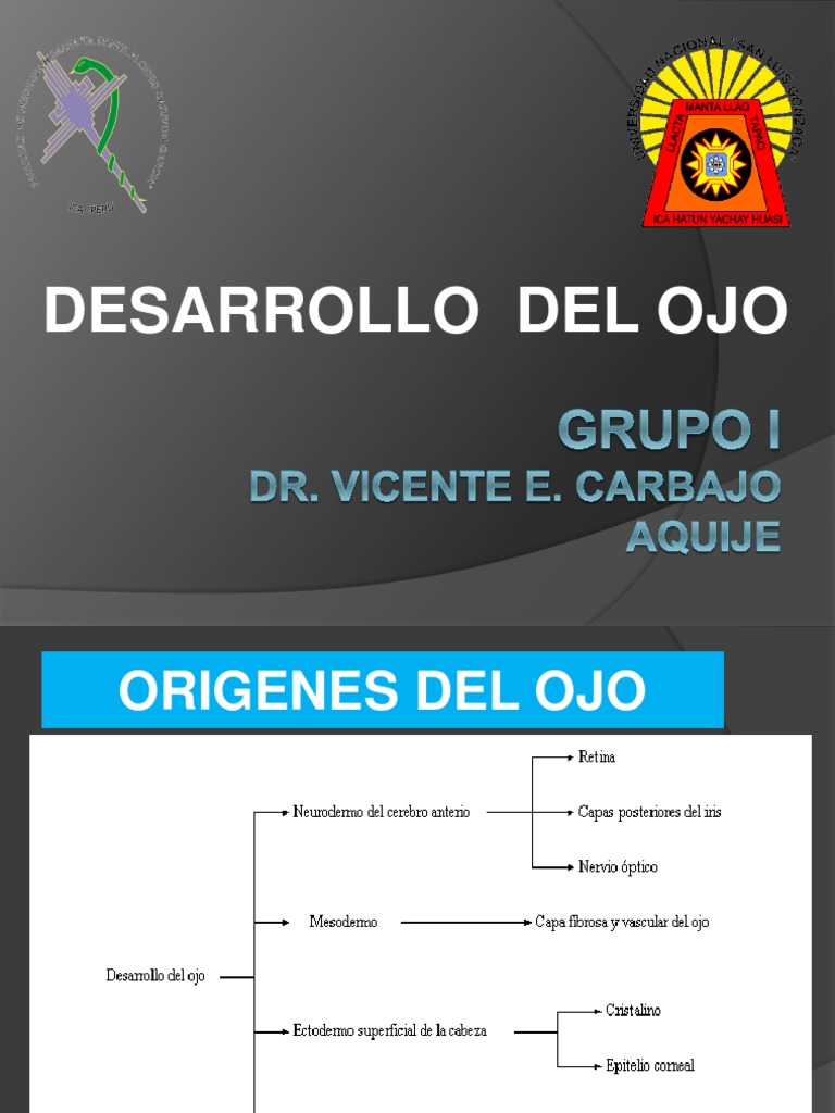 Desarrollo Embriológico Del Ojo | PDF | Ojo humano | Córnea