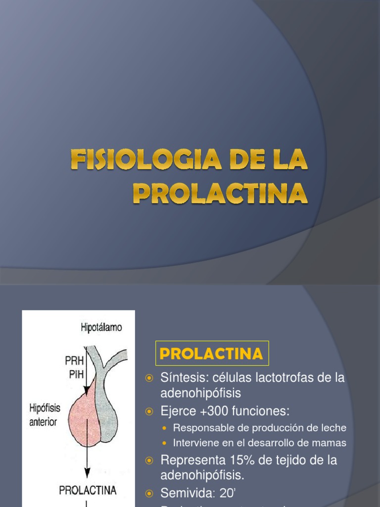 Fisiologia de La Prolactina | PDF