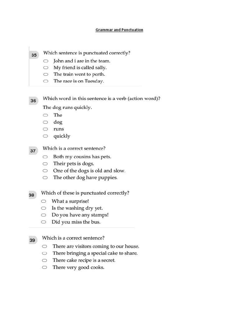 Year 3 Naplan Questions | PDF