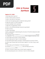 Protein Synthesis Race Game Guide | PDF | Translation (Biology ...