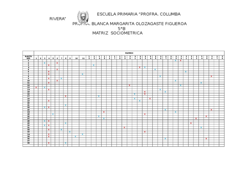 Matriz Sociometrica | PDF