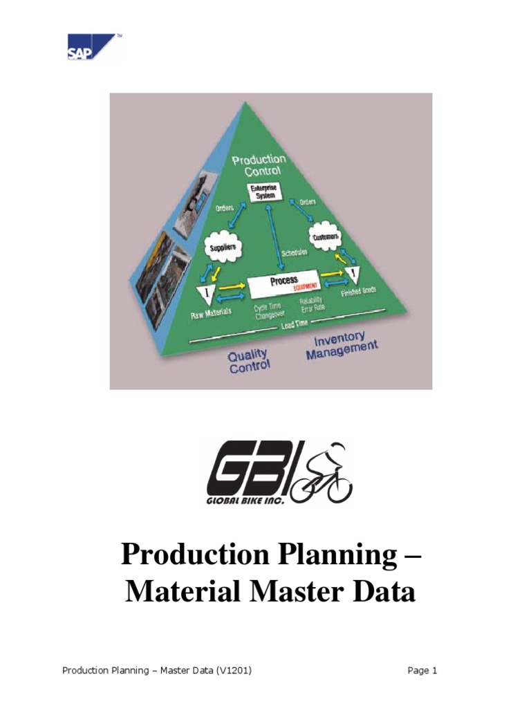 W06 PP Master Data | PDF | Business | Computing