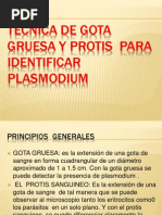 Tecnica de Gota Gruesa y Protis para Identificar | PDF