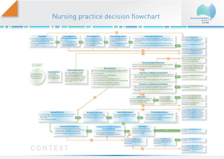 Nursing And Midwifery Board Codes And Guidelines Nursing Practice