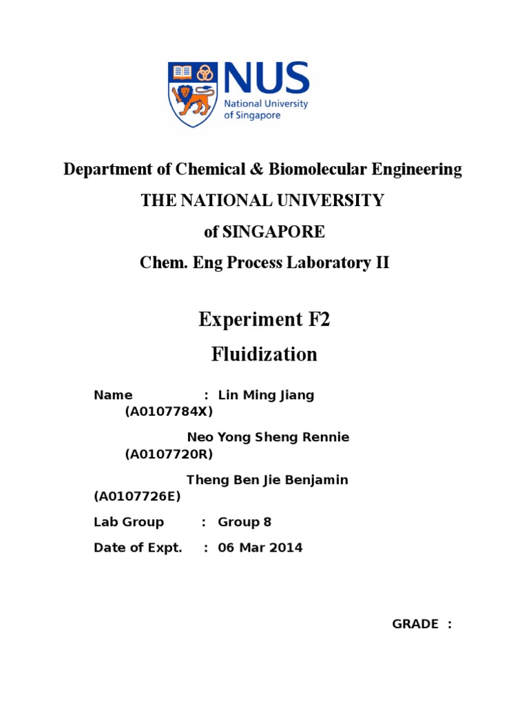 Fluidisation Report | PDF | Fluidization | Chemical Reactor