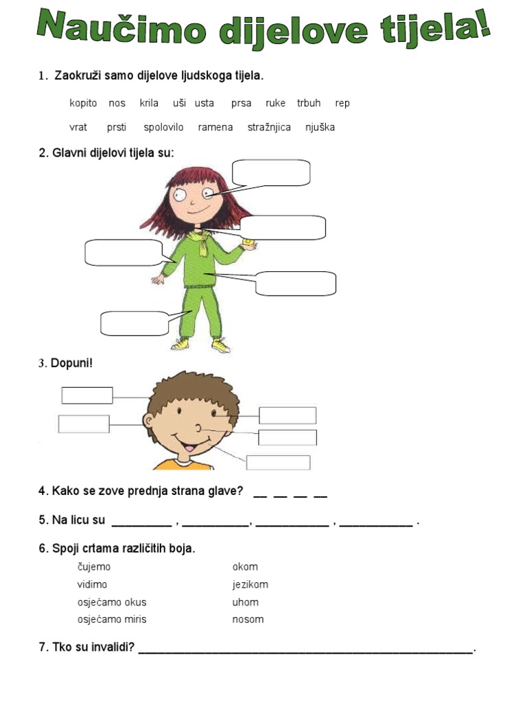 Dijelovi Tijela-Listićbozana | PDF