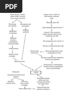 Pathway Campak | PDF | Sains & Matematika