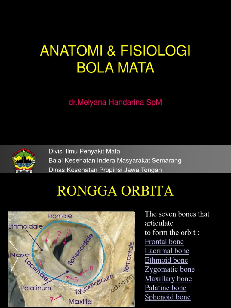 Anatomi Bola Mata | PDF