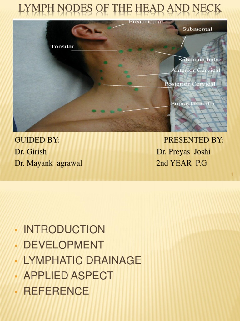 Lymph Nodes of Head and Neck Region | PDF | Lymphatic System | Lymph