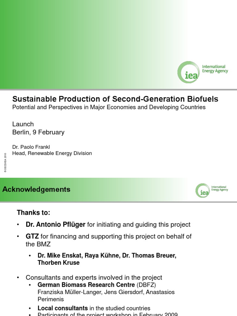 Sustainable Production of Second-Generation Biofuels: Launch Berlin, 9 February | PDF | Biofuel ...