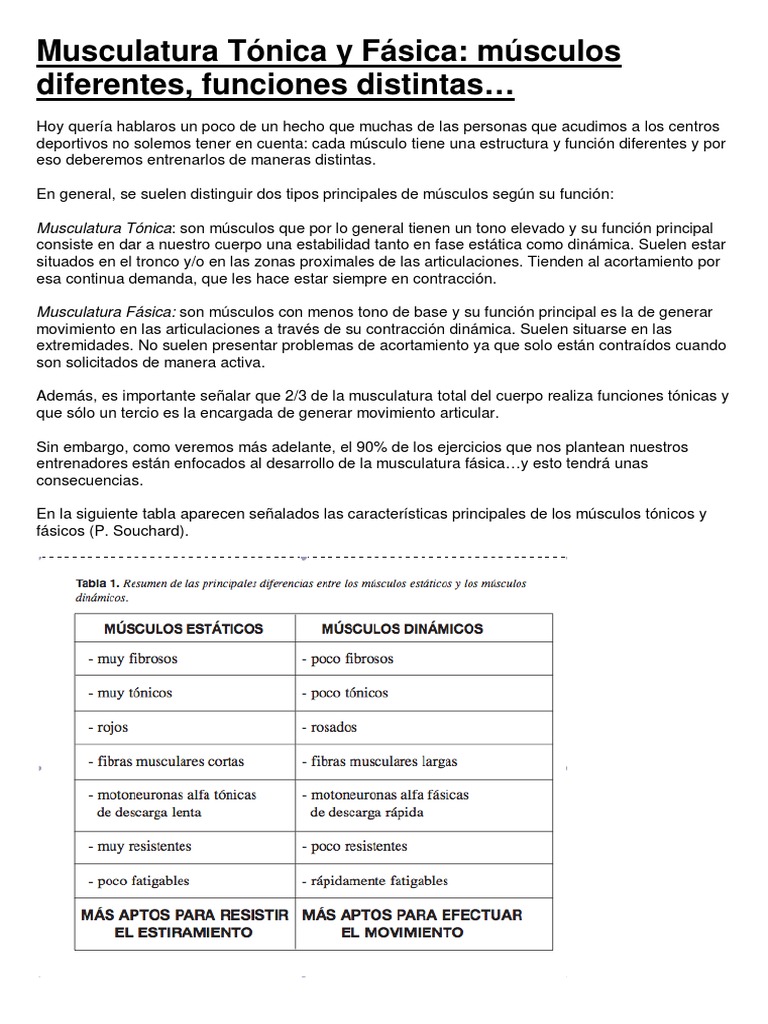 Musculatura Tónica y Fásica PDF | PDF | Contracción muscular | Músculo