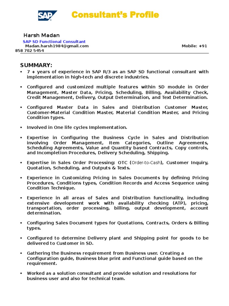 Consultant's Profile: Summary | PDF | Business | Business (General)