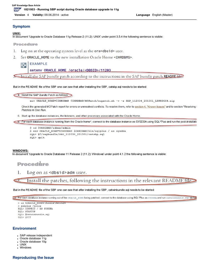 Running Sbp Script During Oracle Db Upgrade Pdf Oracle Database Databases 