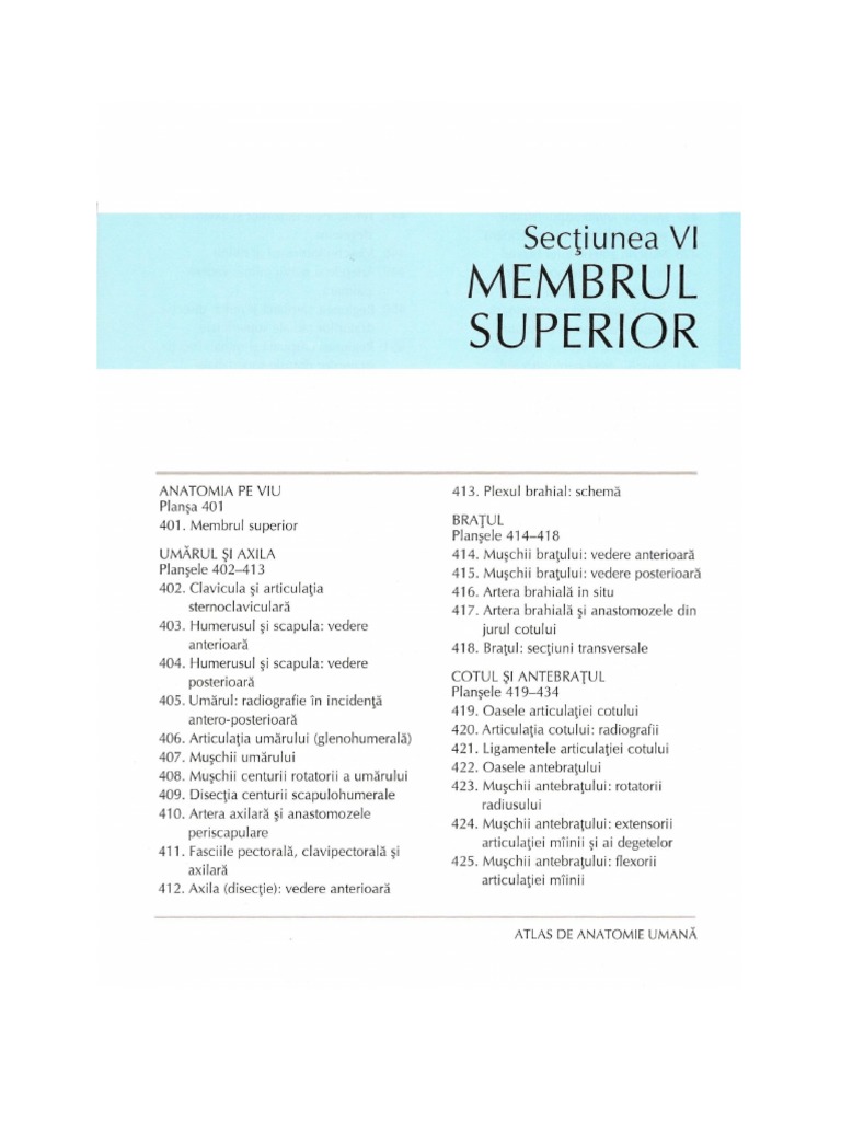 Membrul Superior - Netter | PDF
