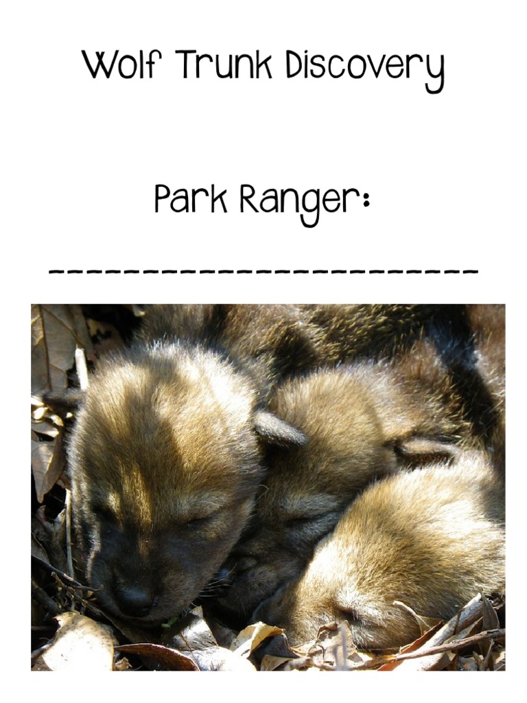Wolf Trunk Discovery: Animal Analysis | PDF