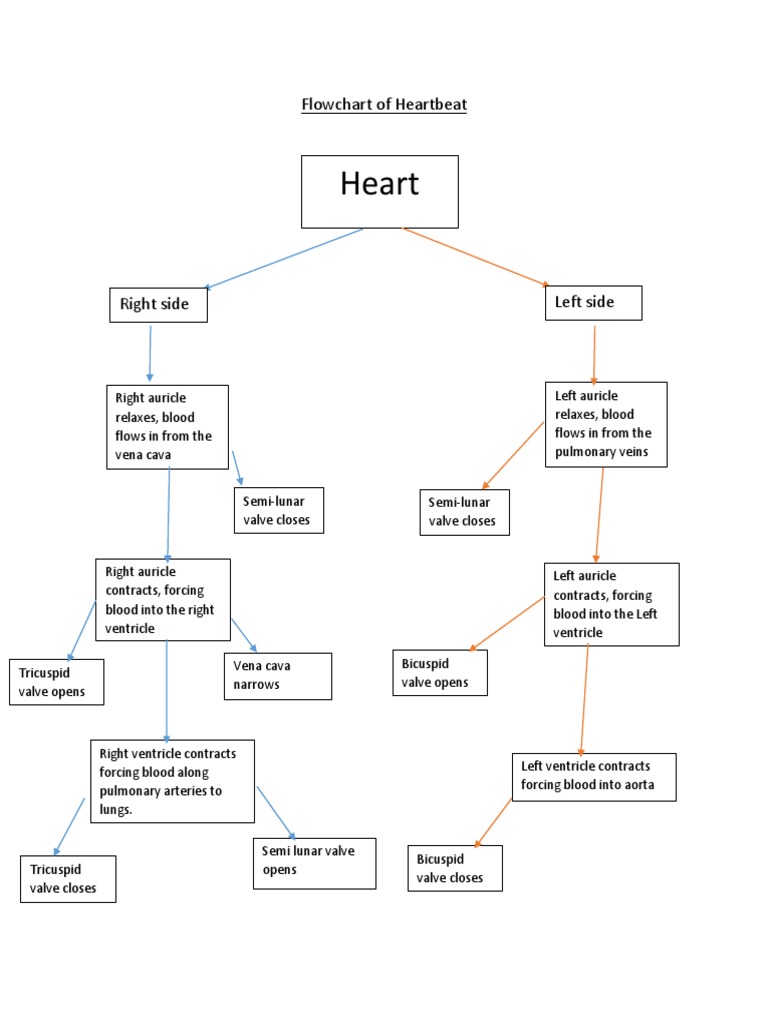 Flowchart of Heartbeat | PDF